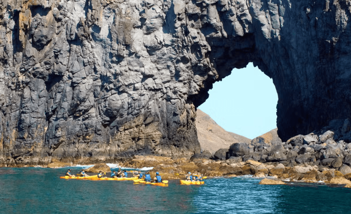 Kayak en Madeira: naturaleza, aventura y mar en estado puro